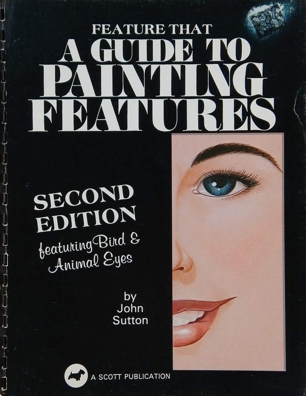 A Guide to Painting Features, 2nd Edition - Santa Clara Valley Carvers